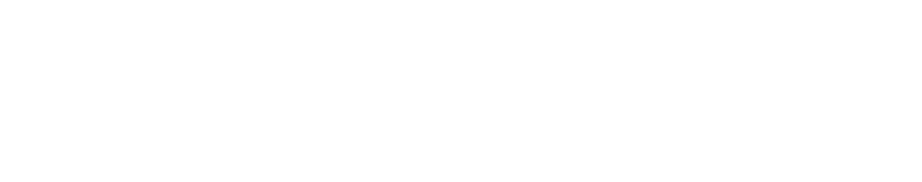 Algorithmica | Real-Time Risk Management & Quantitative Analytics